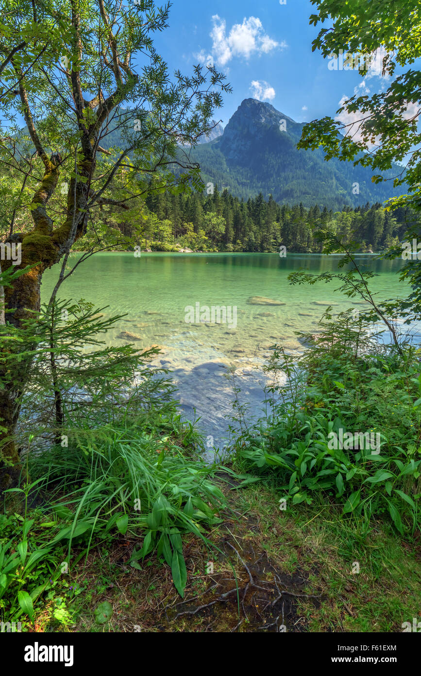 Amazing sunny summer day on the Hintersee lake in Austrian Alps, Europe ...