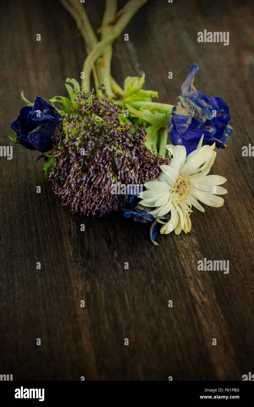 Decaying flowers hi-res stock photography and images - Alamy