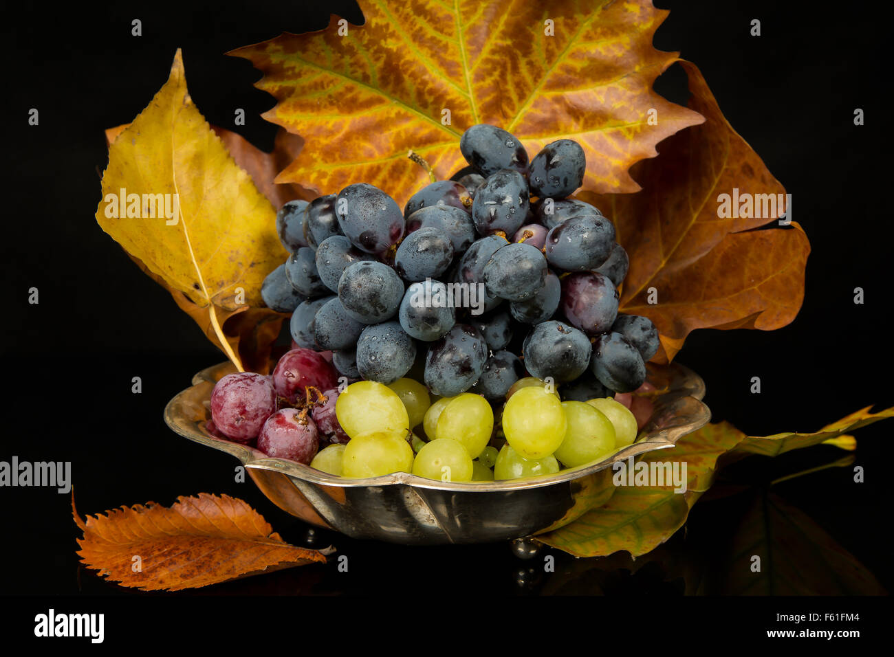 Blue, red and yellow grapes and autumn leaves Stock Photo - Alamy