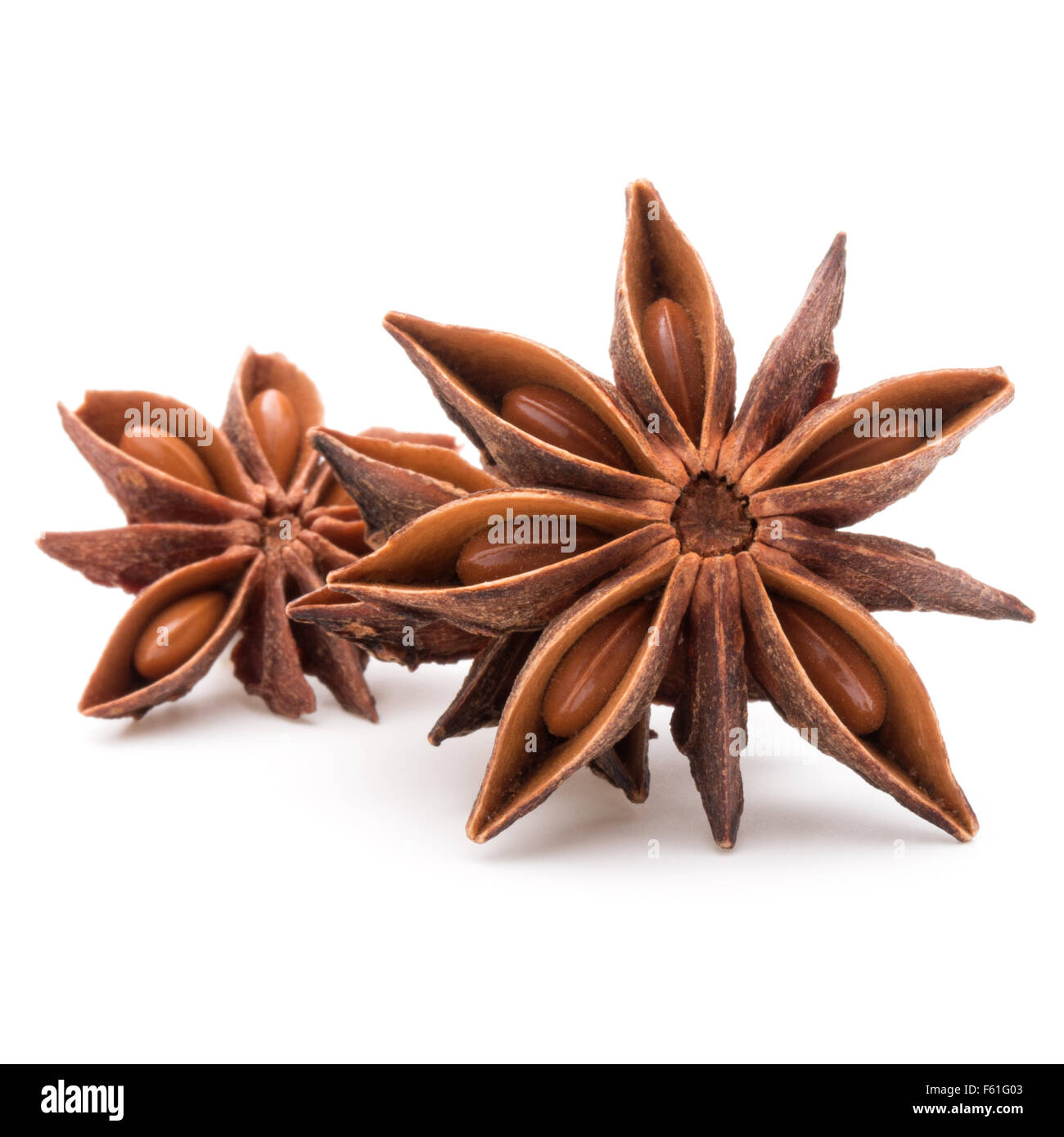Star anise spice fruits and seeds isolated on white background closeup ...