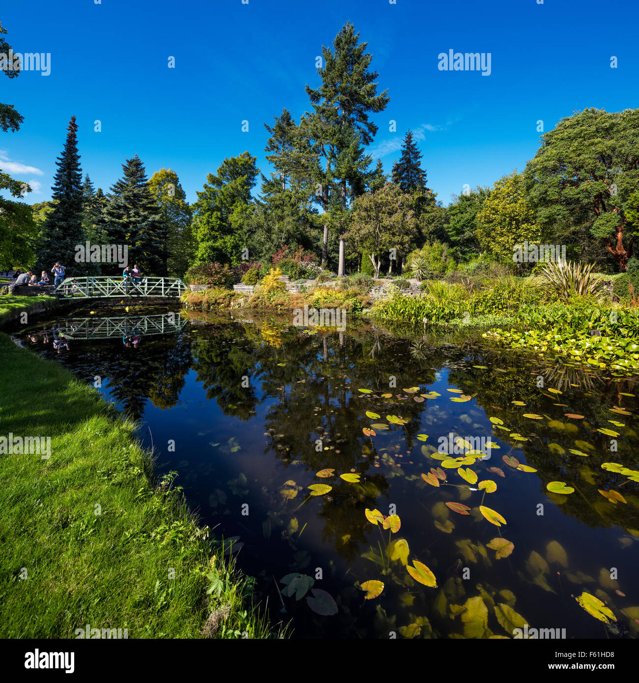 The main pond of The National Botanic Gardens in Dublin, Ireland Stock ...