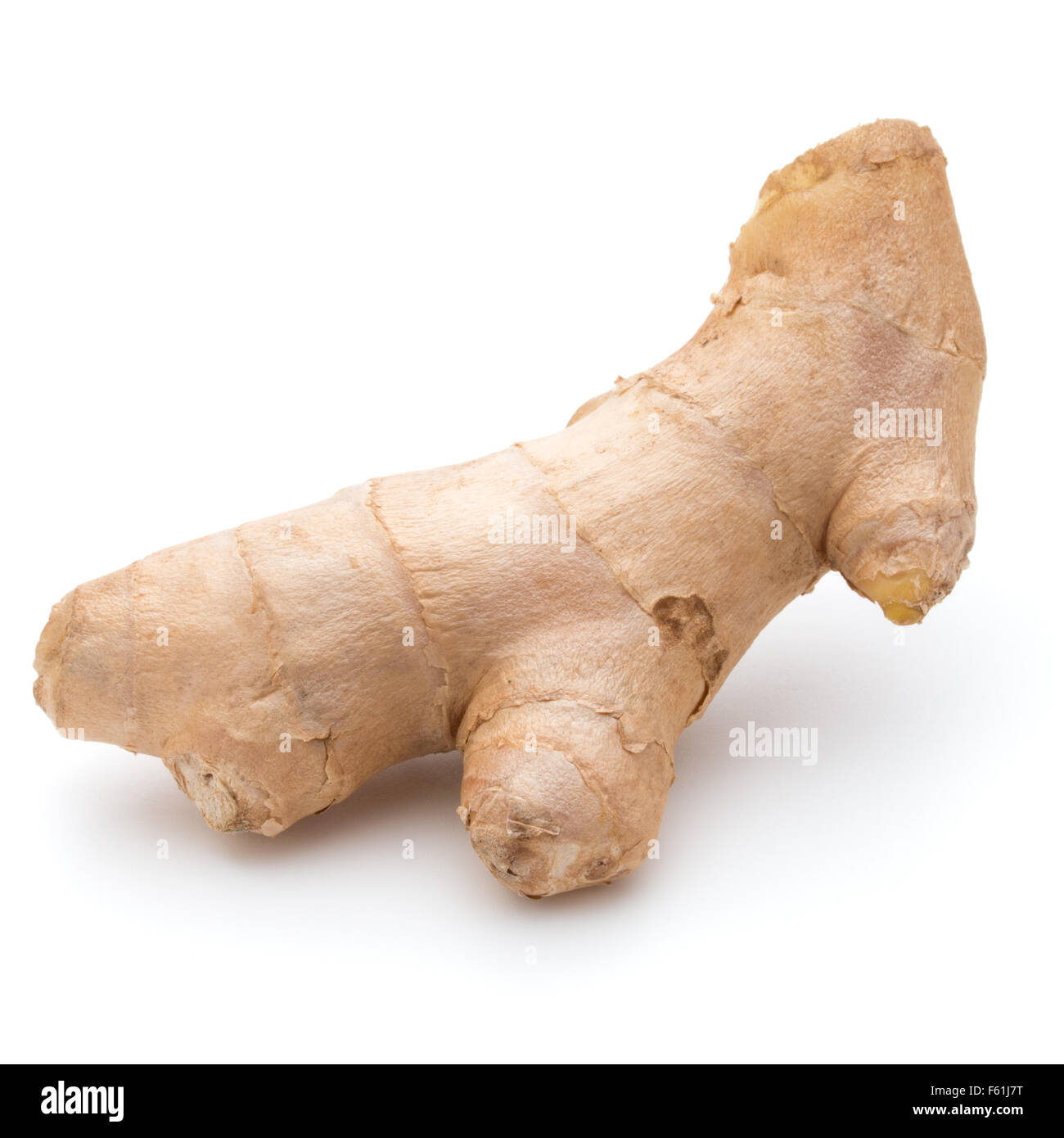 Fresh ginger root or rhizome isolated on white background cutout Stock ...