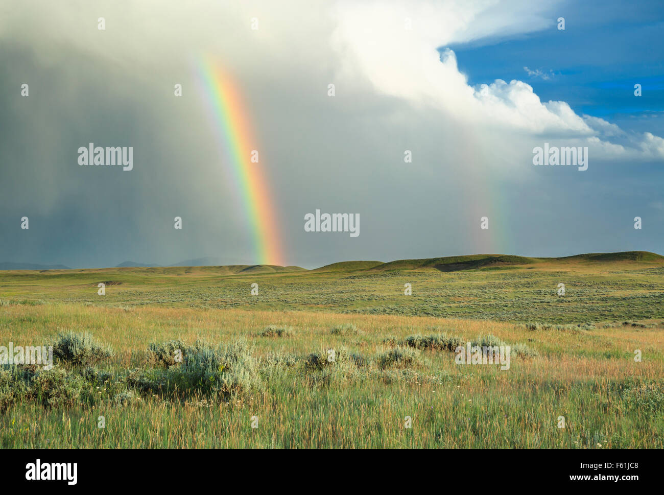 Mt d6248 hi-res stock photography and images - Alamy