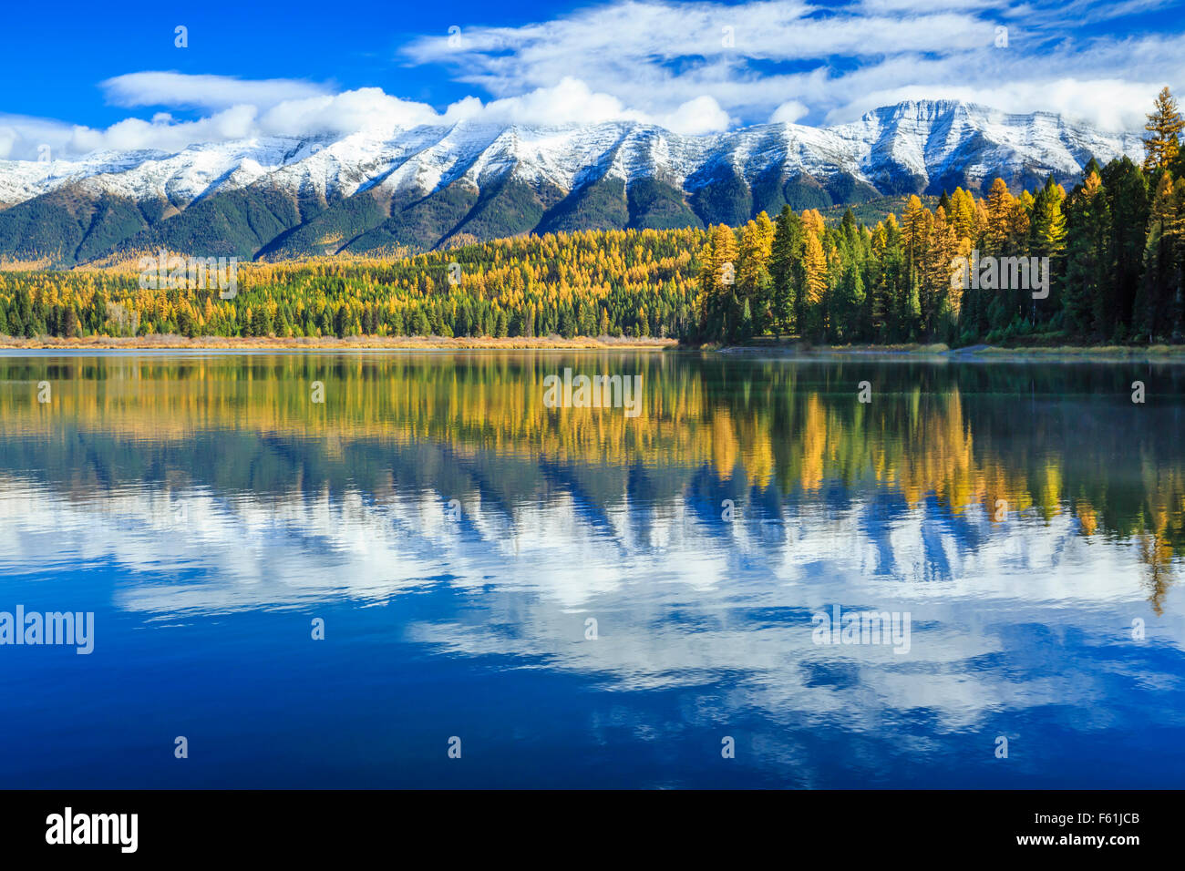fall colors and the swan range above rainy lake in the upper clearwater ...
