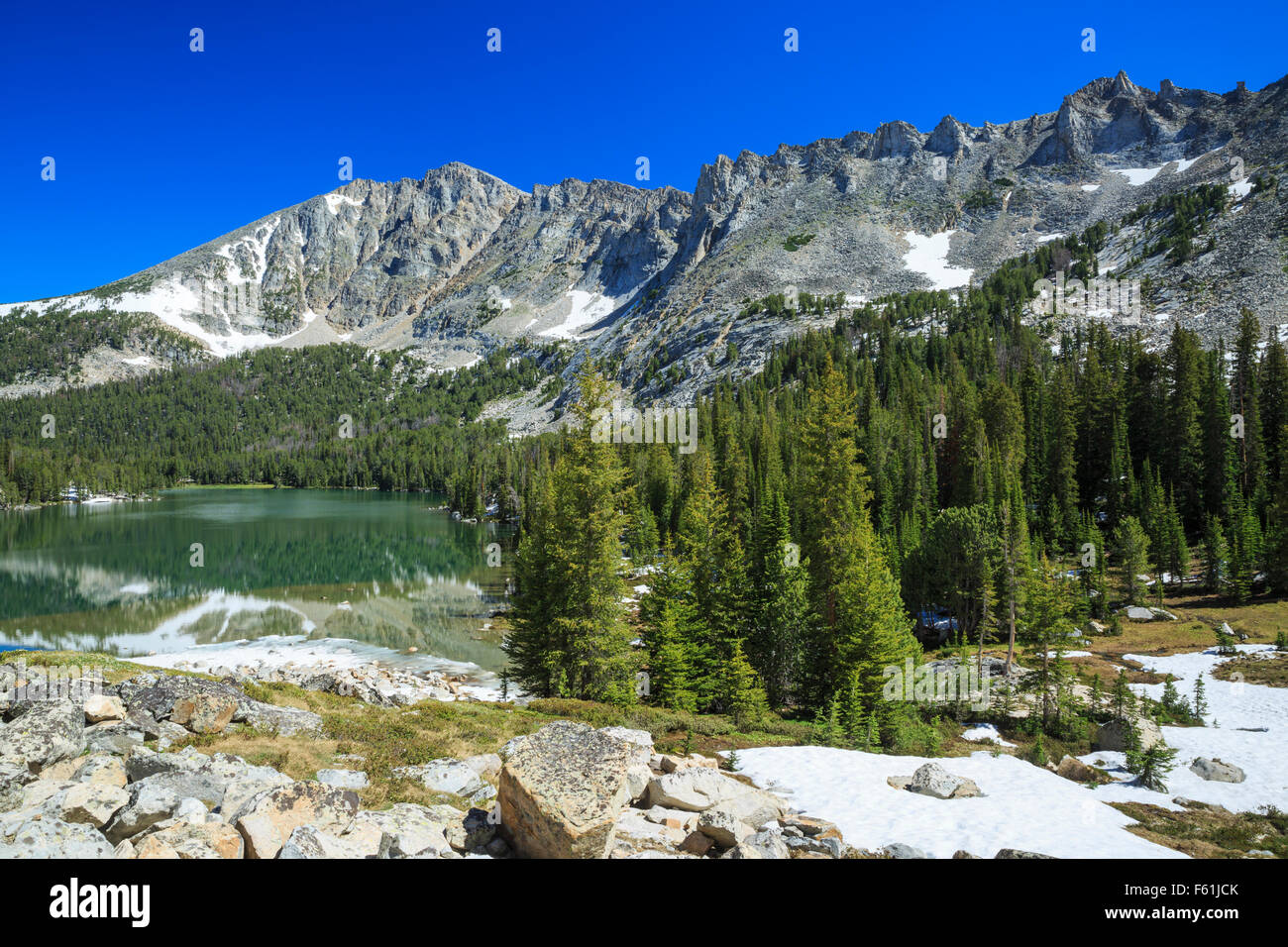 torrey lake below tweedy mountain in the pioneer mountains near elkhorn ...