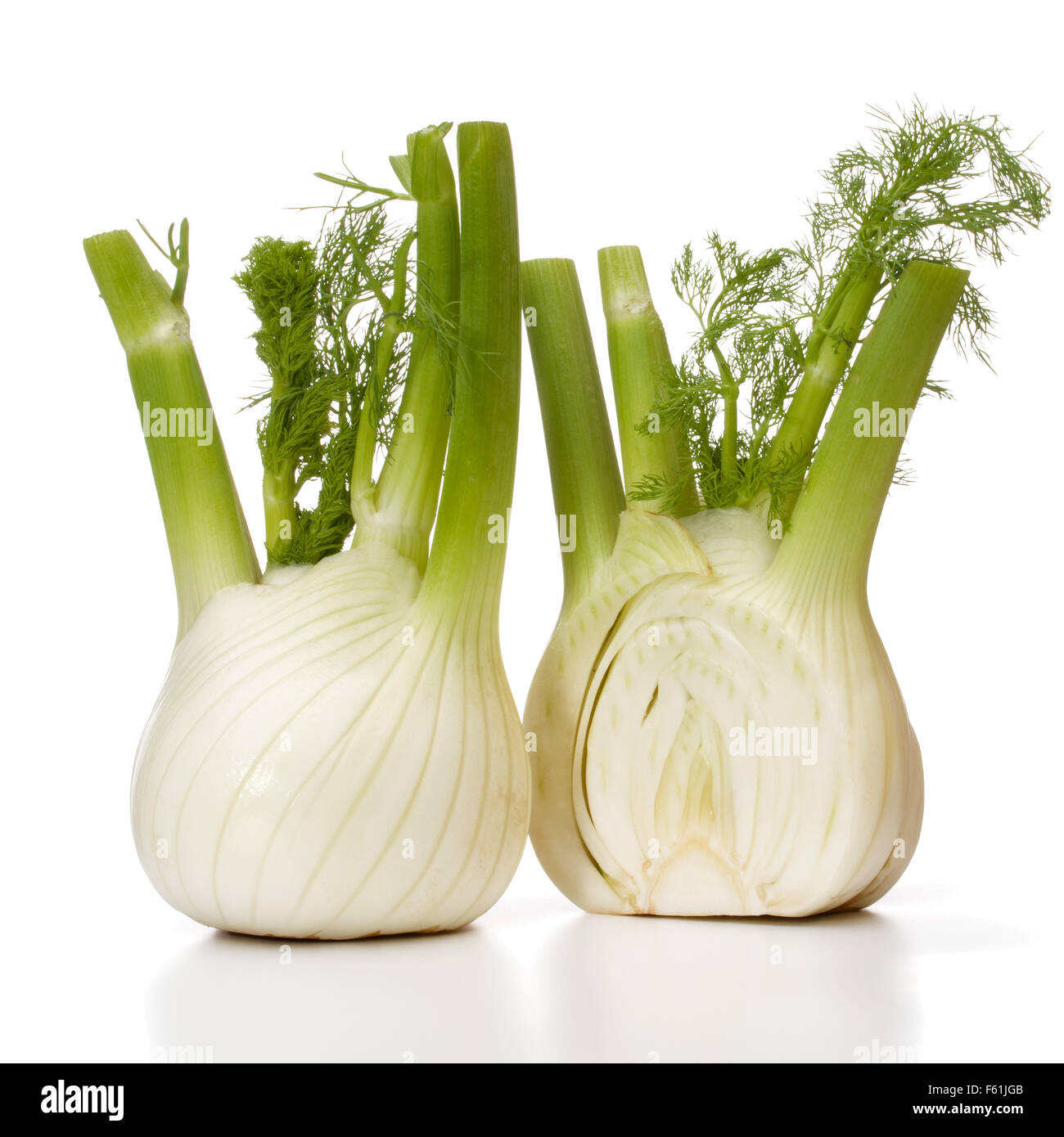 Fennel bulb hi-res stock photography and images - Alamy