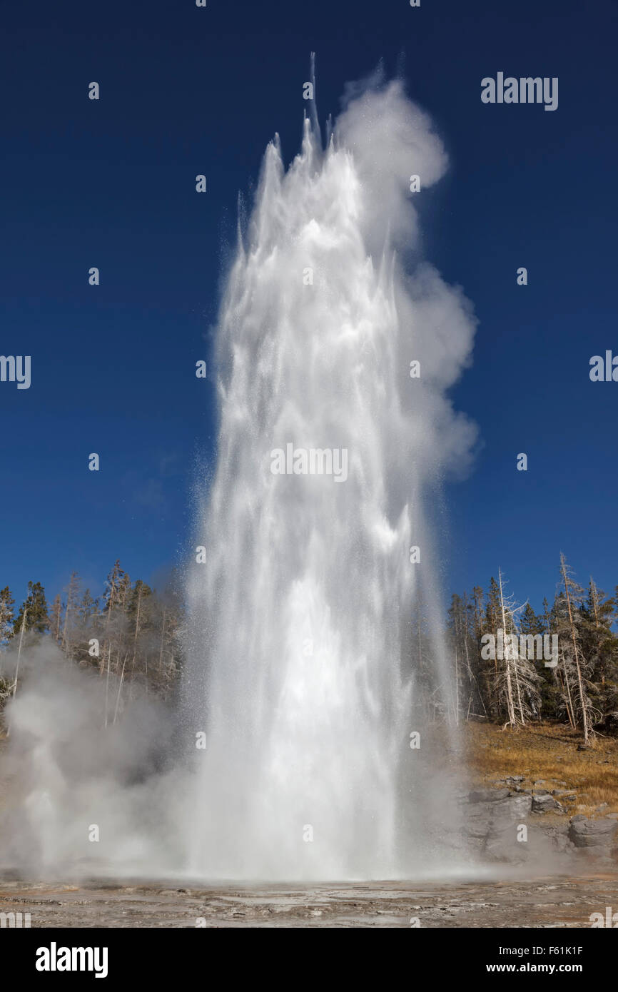 Grand geyser hi-res stock photography and images - Alamy