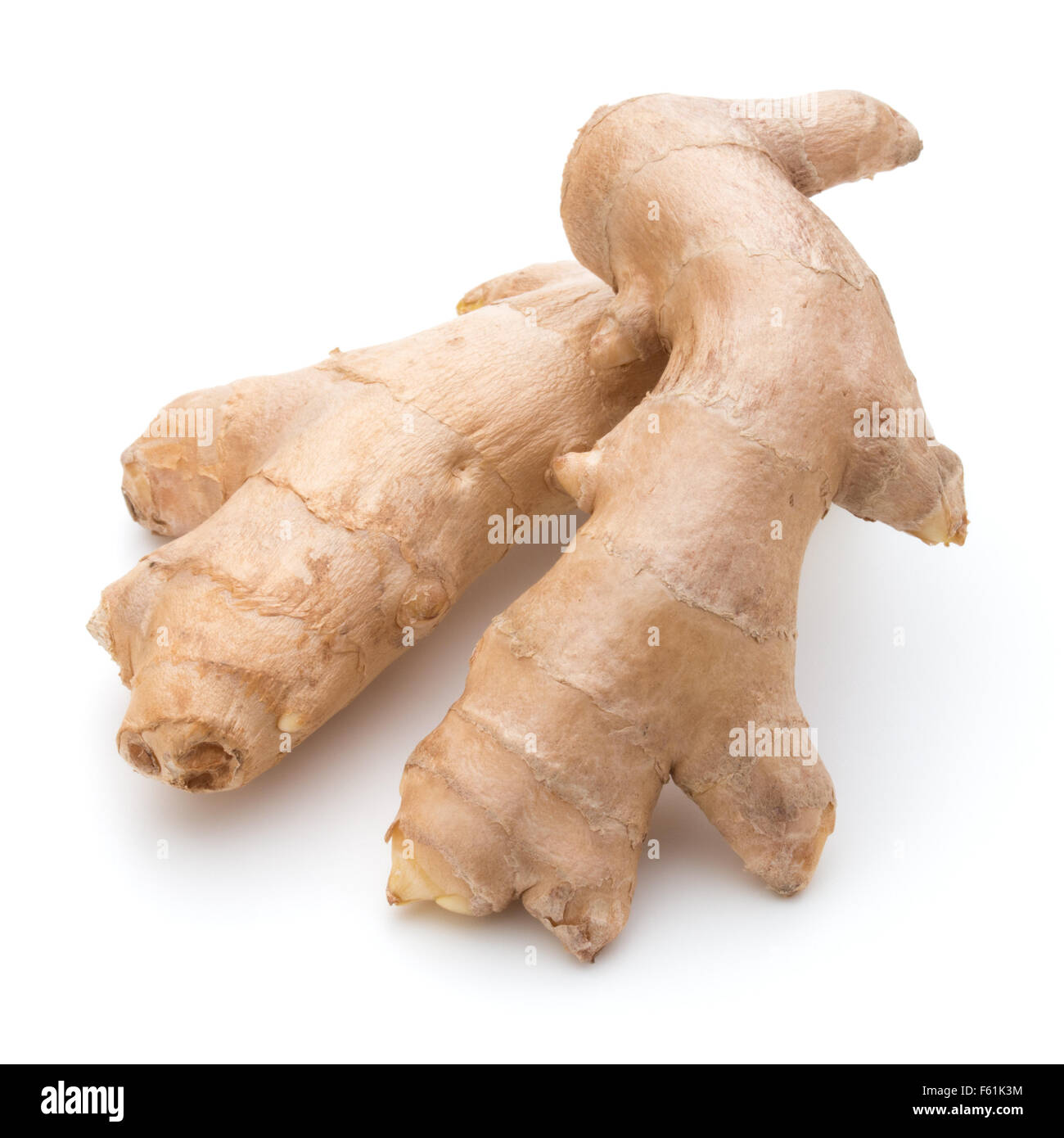 Fresh ginger root or rhizome isolated on white background cutout Stock ...