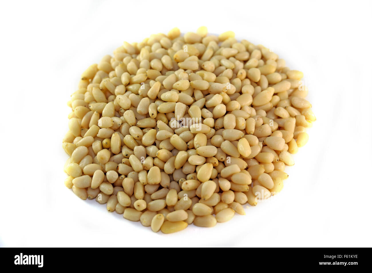 Pine nuts from pine trees photographed close up Stock Photo - Alamy