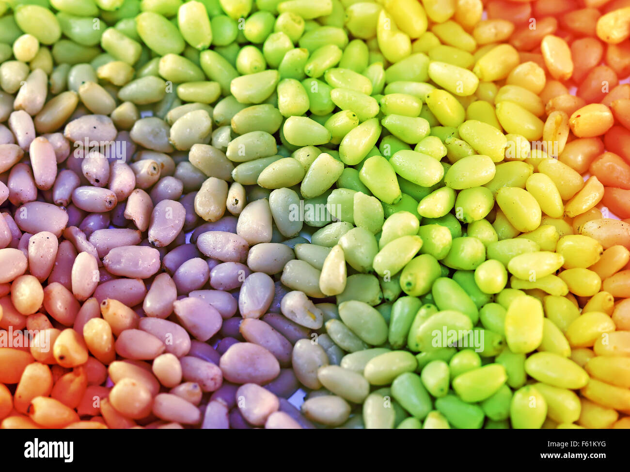 Pine nuts from pine trees photographed close up Stock Photo - Alamy
