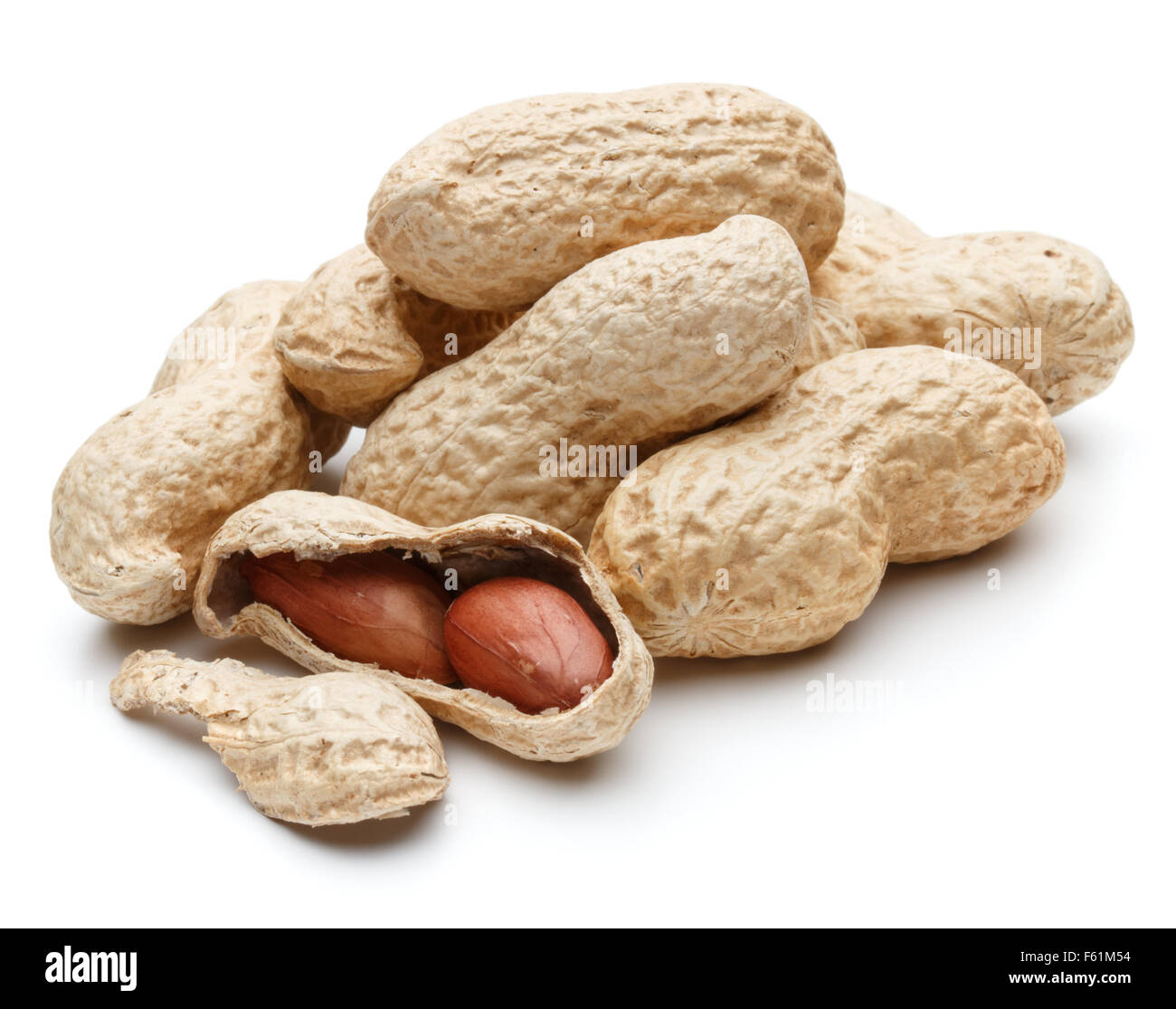 peanut pod or arachis isolated on white background cutout Stock Photo ...