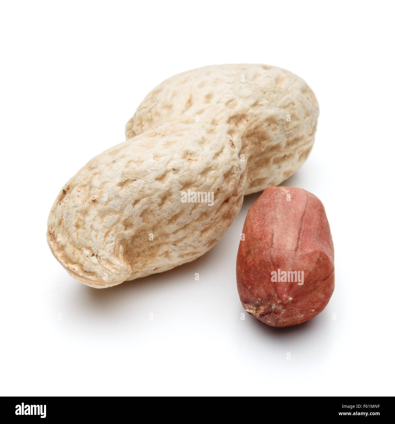 peanut pod or arachis isolated on white background cutout Stock Photo ...