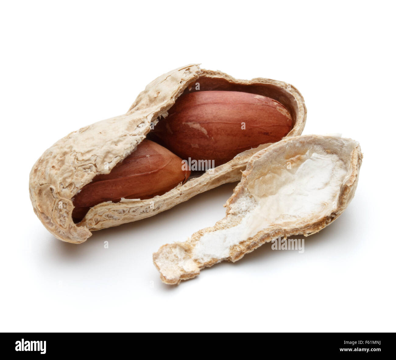 peanut pod or arachis isolated on white background cutout Stock Photo ...