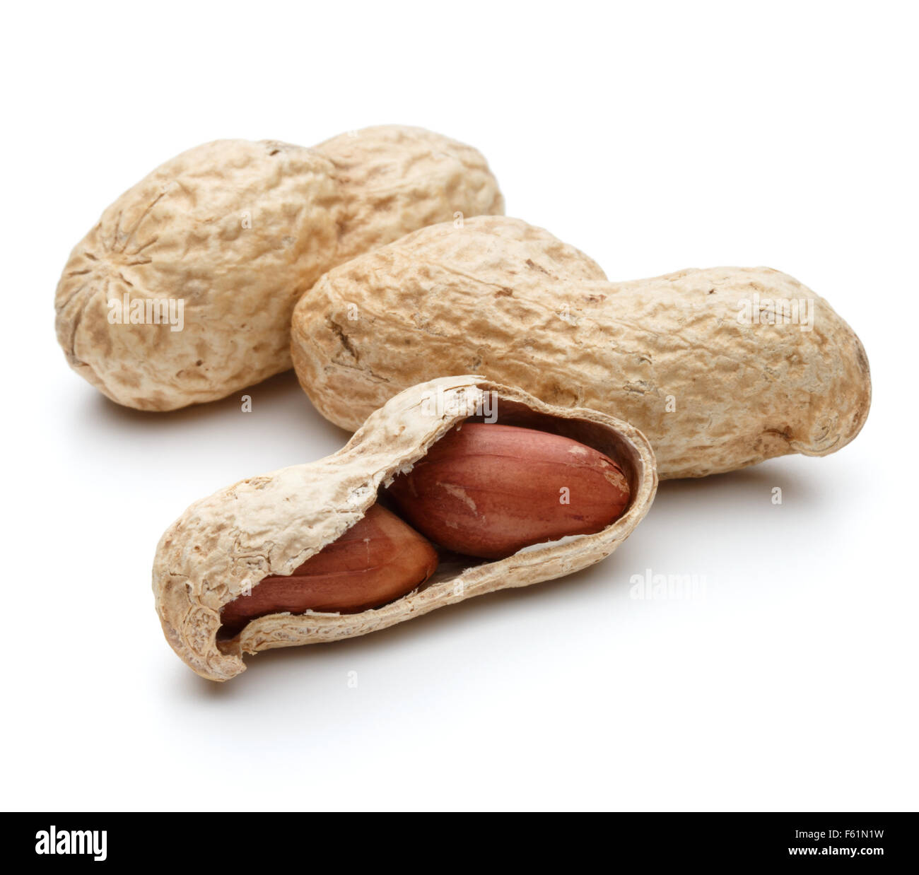 peanut pod or arachis isolated on white background cutout Stock Photo ...