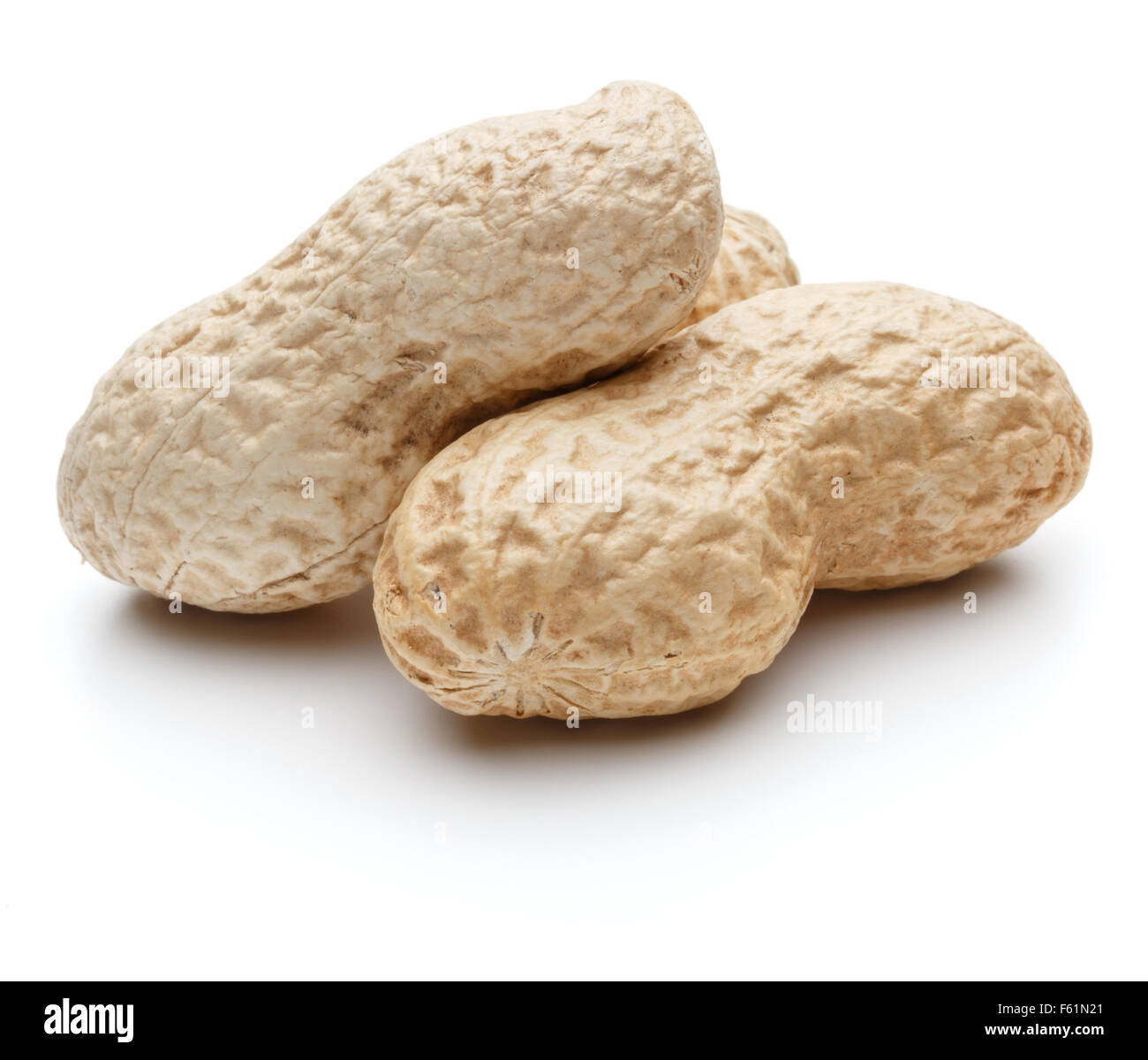 peanut pod or arachis isolated on white background cutout Stock Photo ...