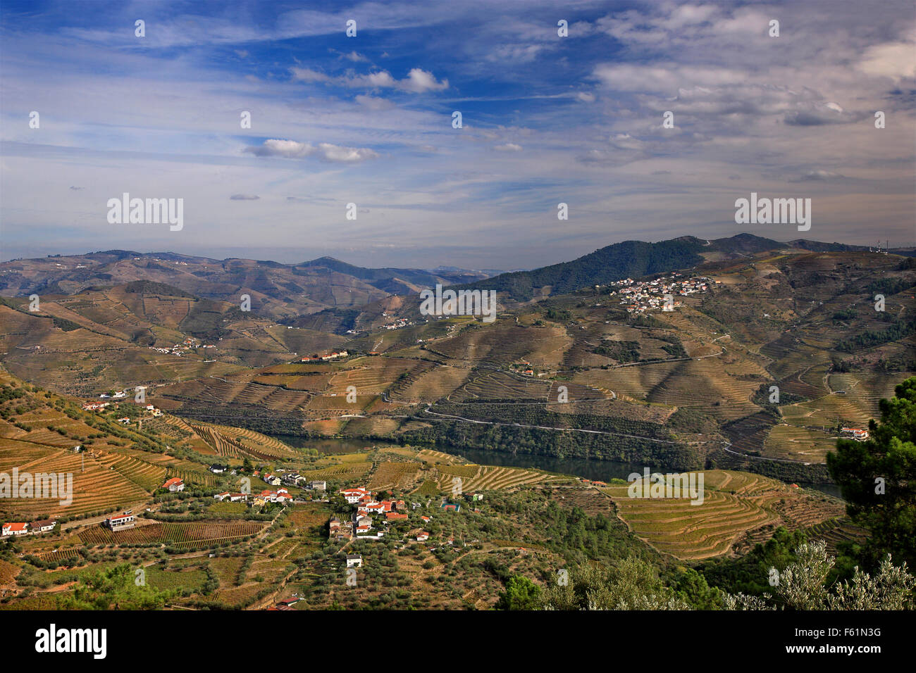 Vineyards in Douro valley in the heart of Alto Douro Wine Region ...