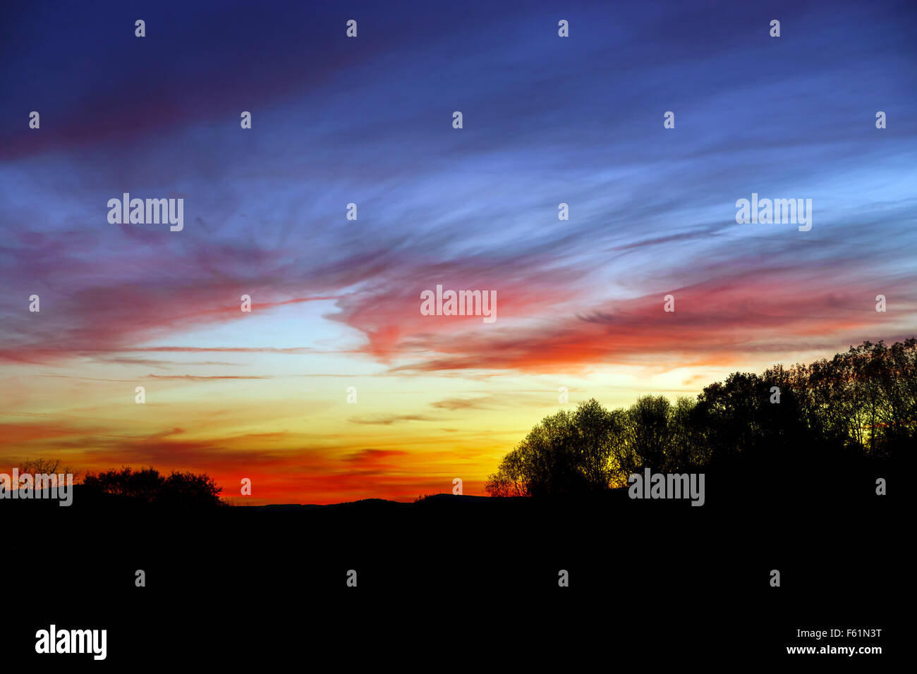 Abstract colorful sunset landscape with tree silhouette on front plan ...