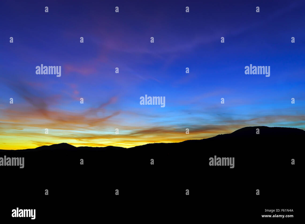 Abstract colorful sunset landscape with tree silhouette on front plan ...
