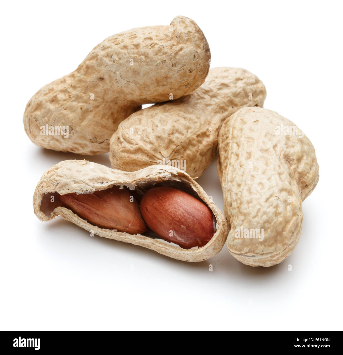 peanut pod or arachis isolated on white background cutout Stock Photo ...