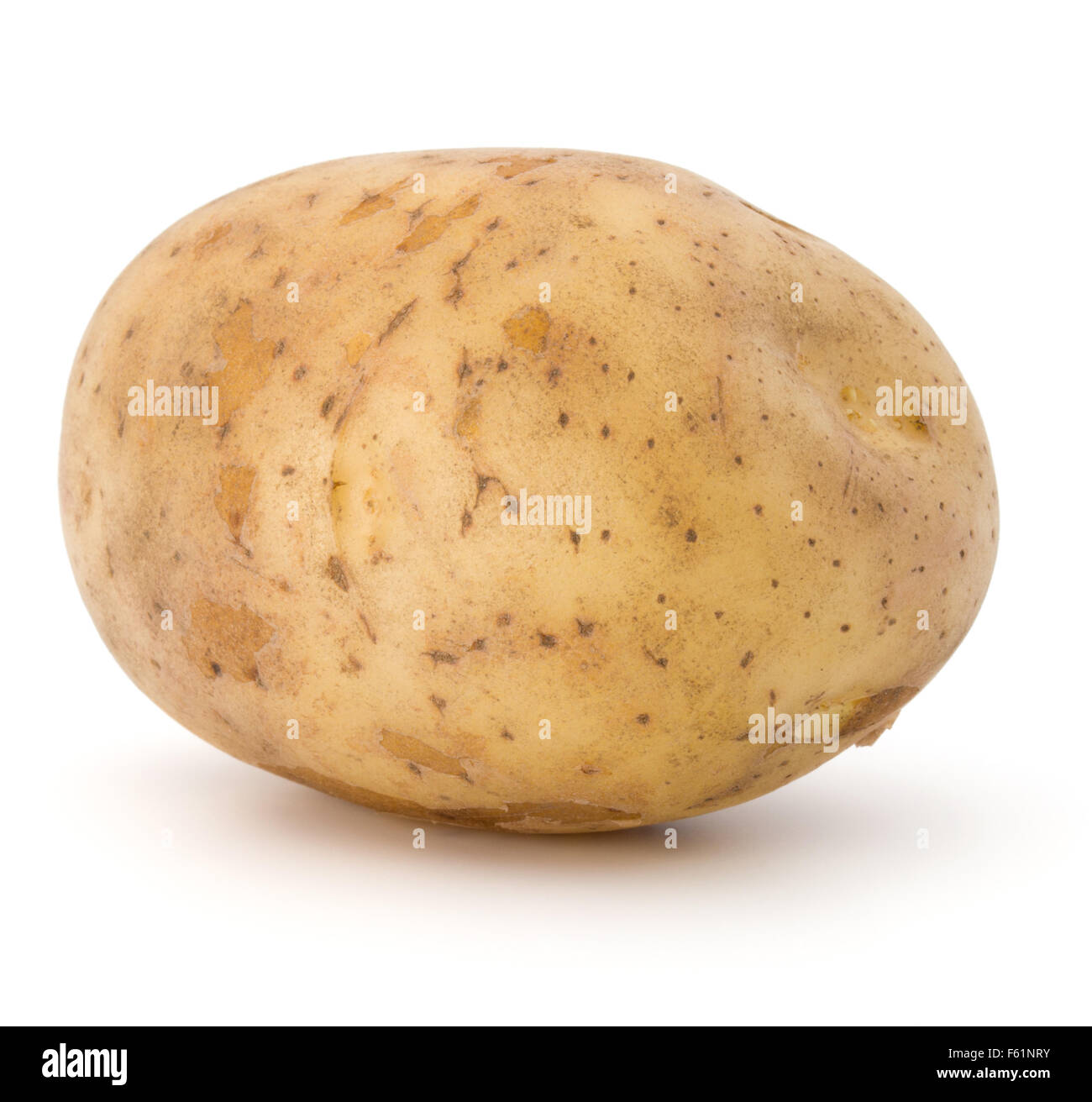new potato tuber isolated on white background cutout Stock Photo - Alamy