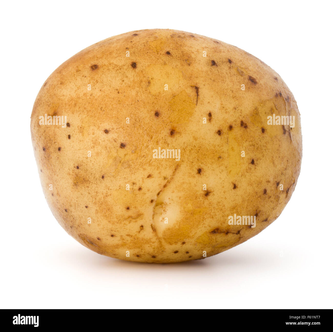 new potato tuber isolated on white background cutout Stock Photo - Alamy