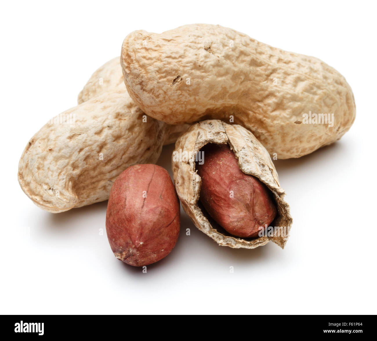 peanut pod or arachis isolated on white background cutout Stock Photo ...