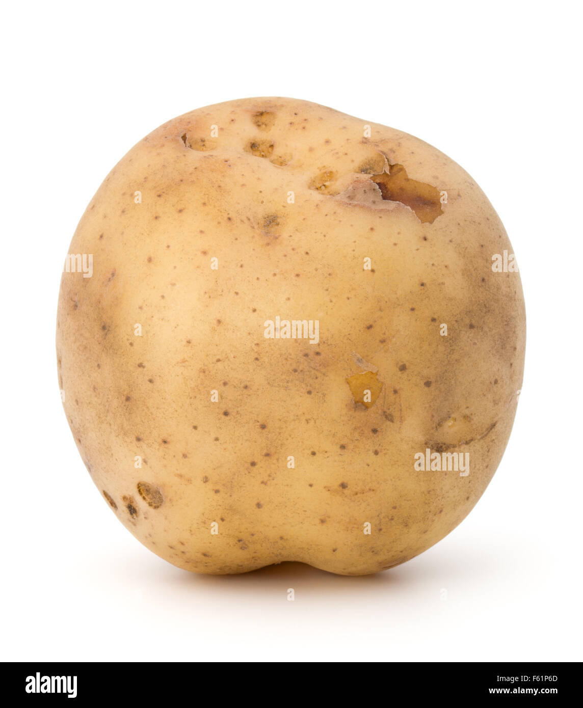 new potato tuber isolated on white background cutout Stock Photo - Alamy