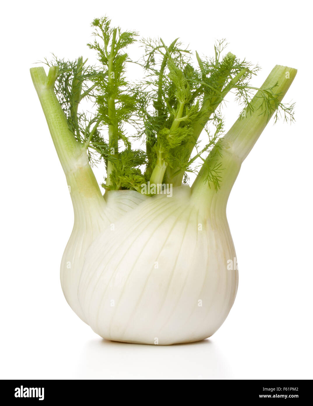 Finule hi-res stock photography and images - Alamy