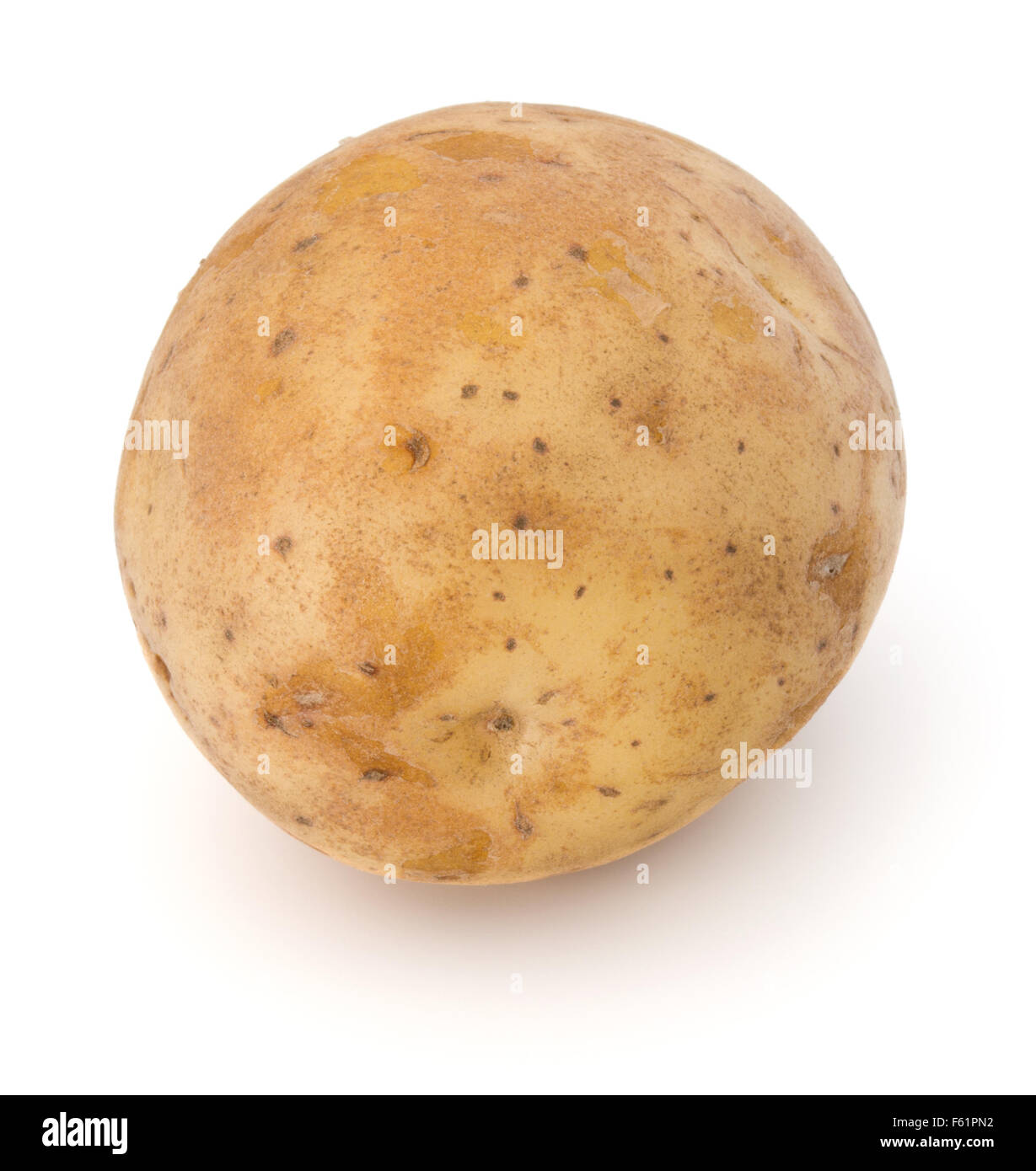 new potato tuber isolated on white background cutout Stock Photo - Alamy