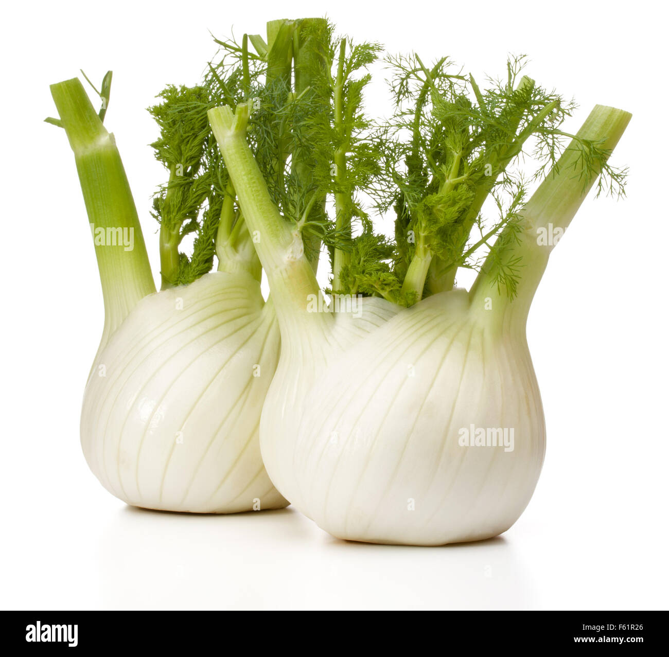 Fresh fennel bulb isolated on white background close up Stock Photo - Alamy