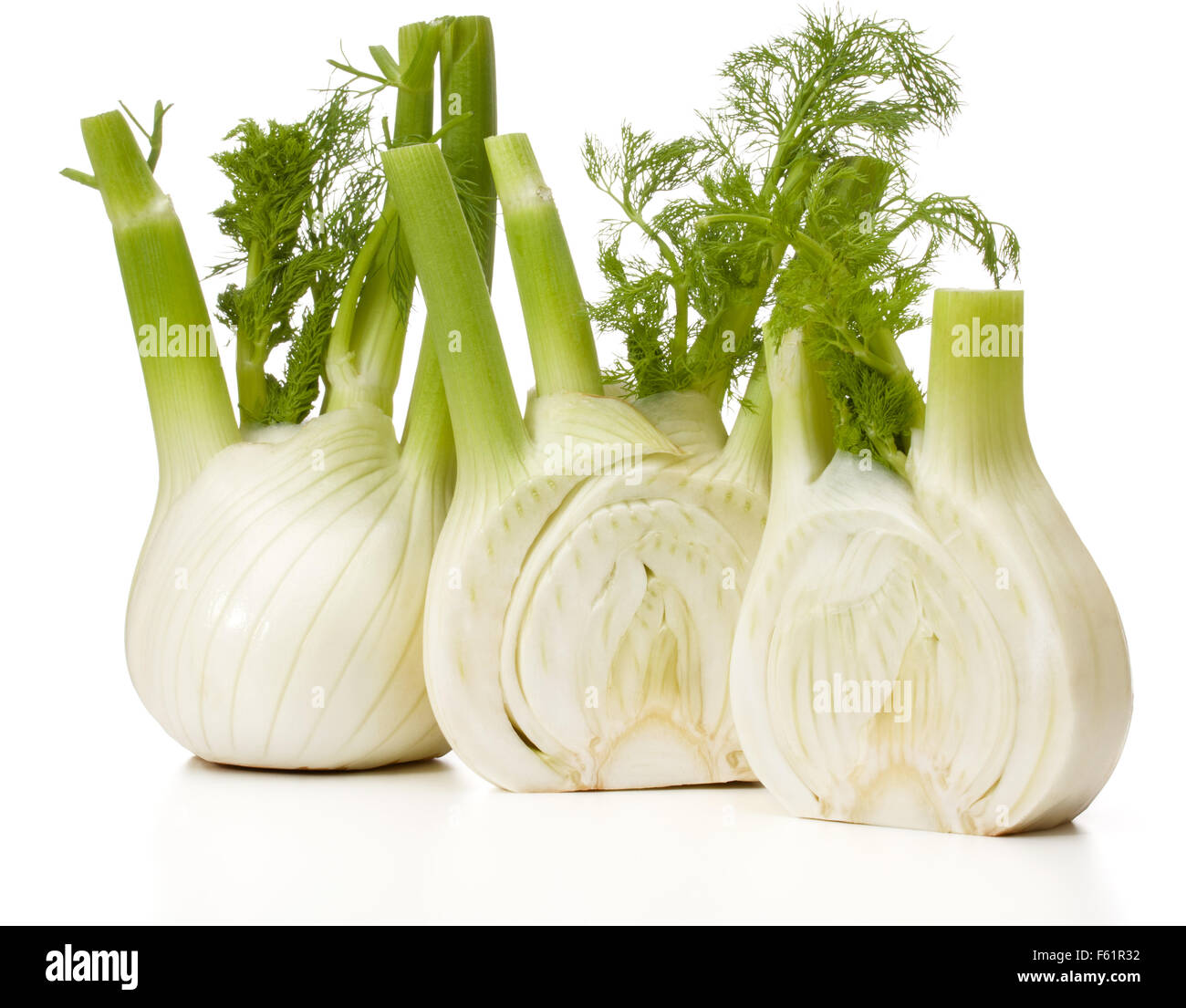 Fresh fennel bulb isolated on white background close up Stock Photo - Alamy
