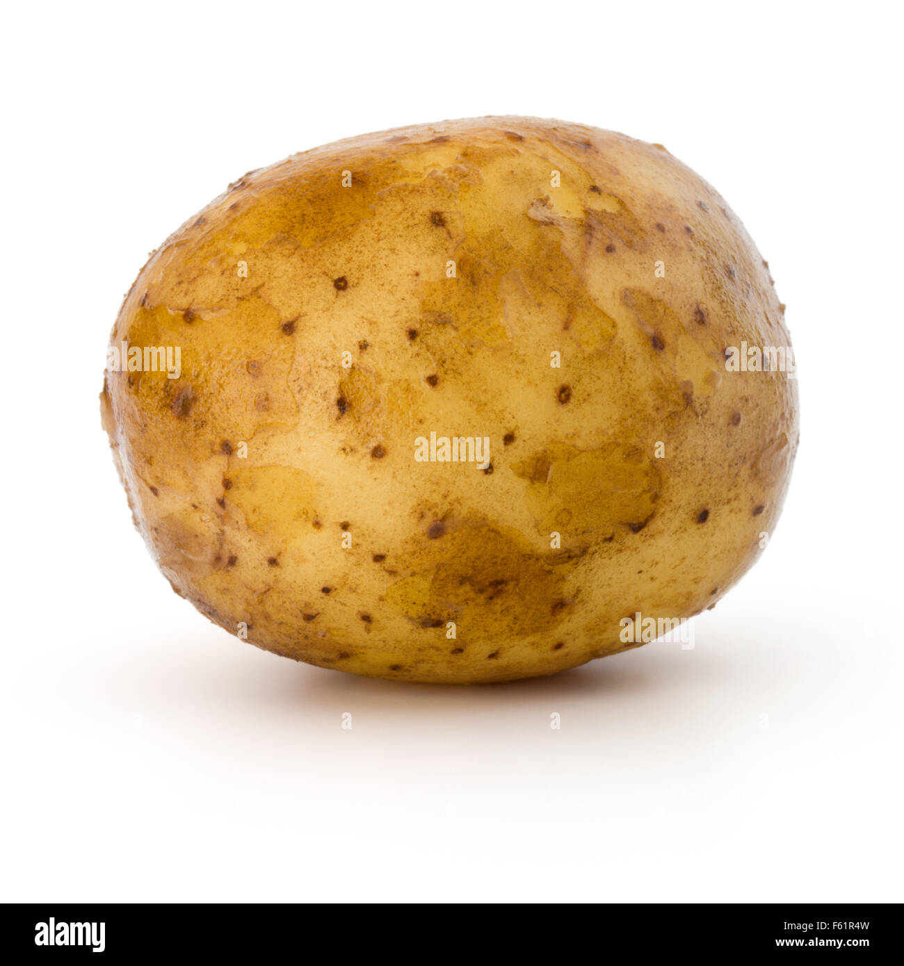 new potato tuber isolated on white background cutout Stock Photo - Alamy
