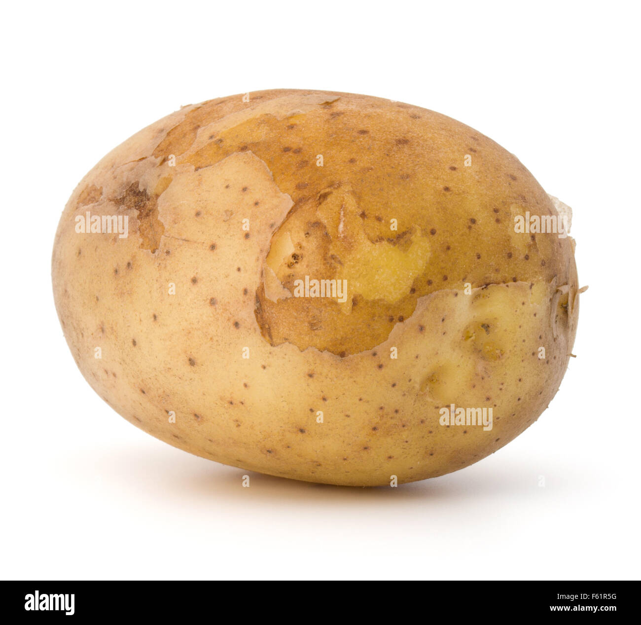 new potato tuber isolated on white background cutout Stock Photo - Alamy