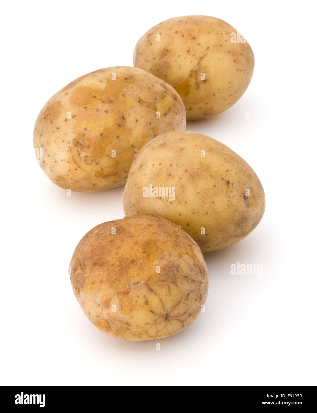new potato tuber isolated on white background cutout Stock Photo - Alamy