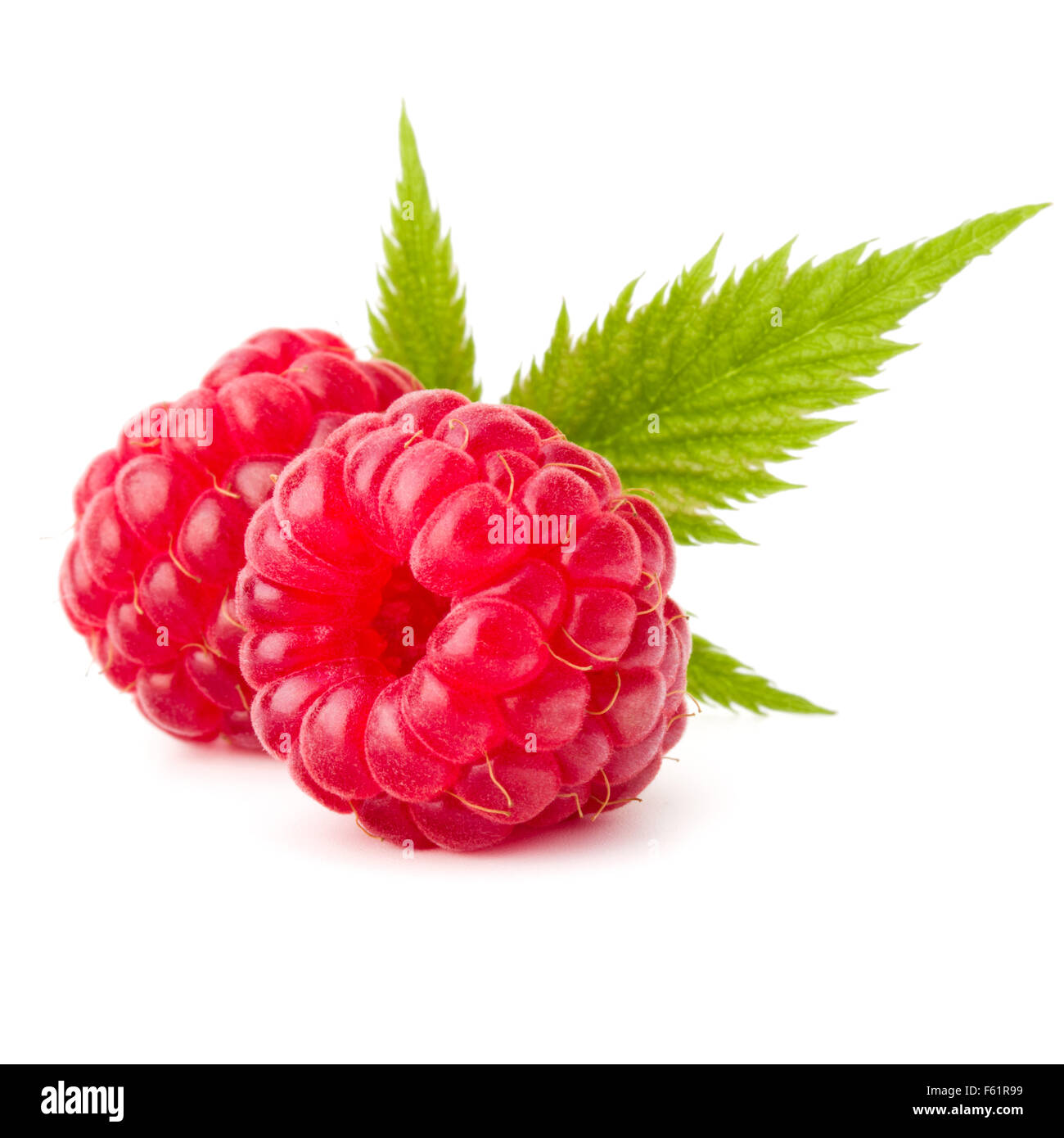 ripe raspberries isolated on white background close up Stock Photo - Alamy