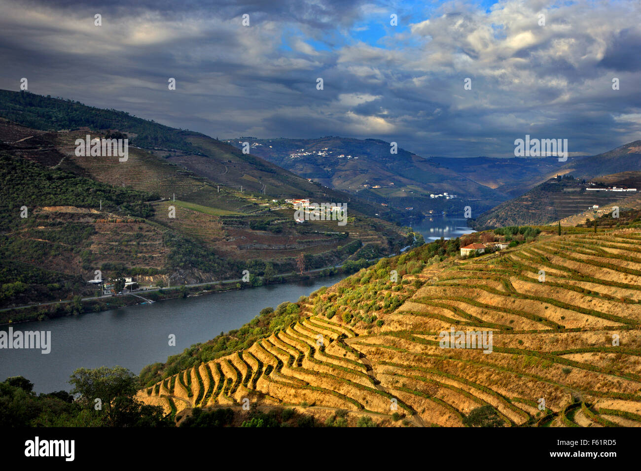 Vineyards in Douro valley in the heart of Alto Douro Wine Region Stock ...