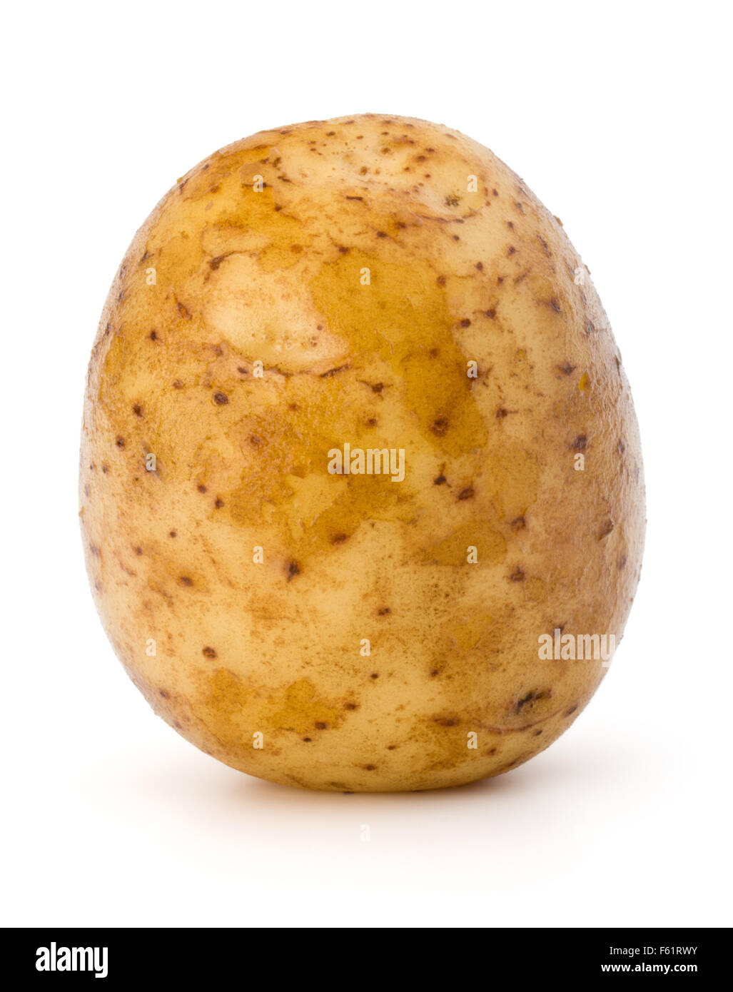 new potato tuber isolated on white background cutout Stock Photo - Alamy