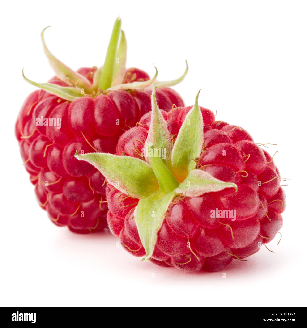 ripe raspberries isolated on white background close up Stock Photo - Alamy