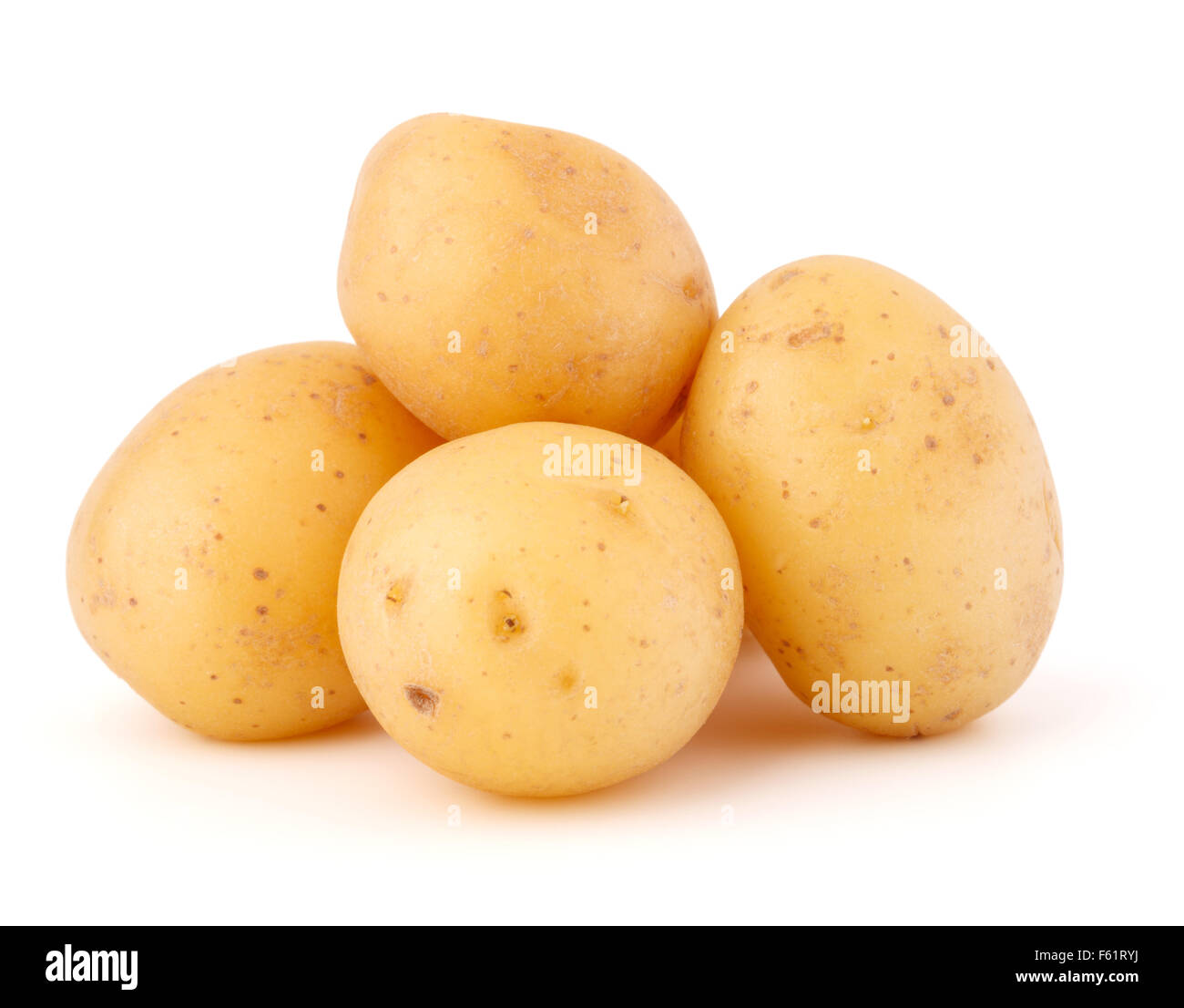 new potato tuber isolated on white background cutout Stock Photo - Alamy