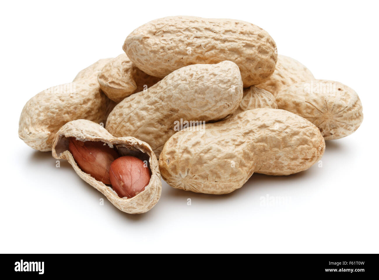 peanut pod or arachis isolated on white background cutout Stock Photo ...
