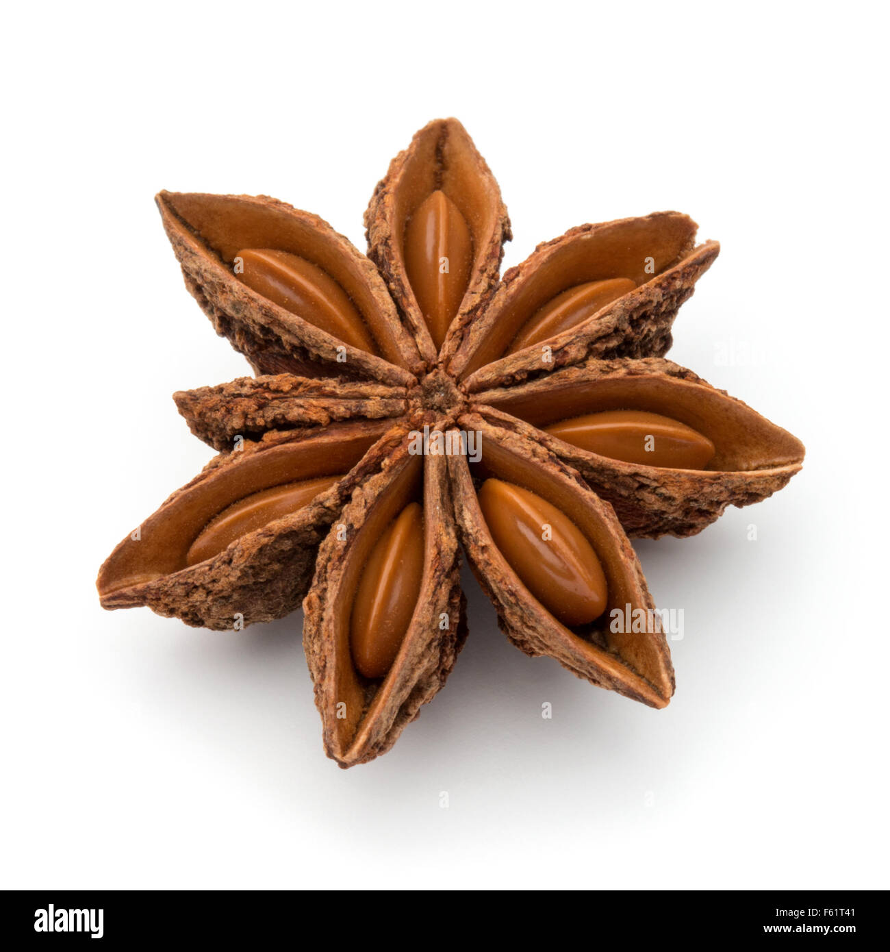Star anise spice fruit and seeds isolated on white background closeup ...