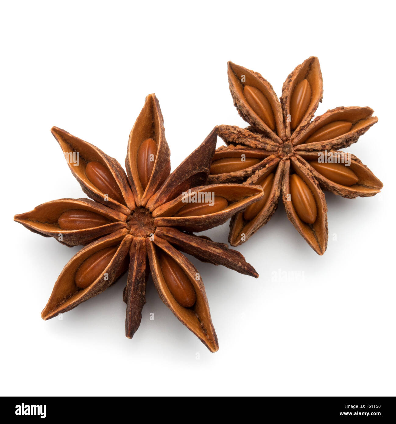 Star anise spice fruit and seeds isolated on white background closeup ...