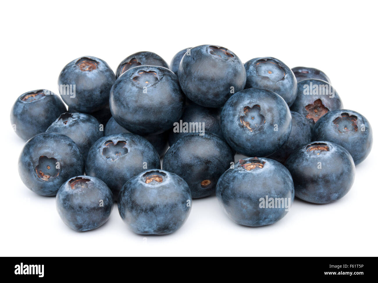 blueberry or bilberry or blackberry or blue whortleberry or huckleberry ...