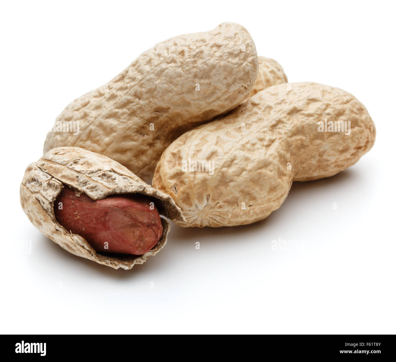 peanut pod or arachis isolated on white background cutout Stock Photo ...