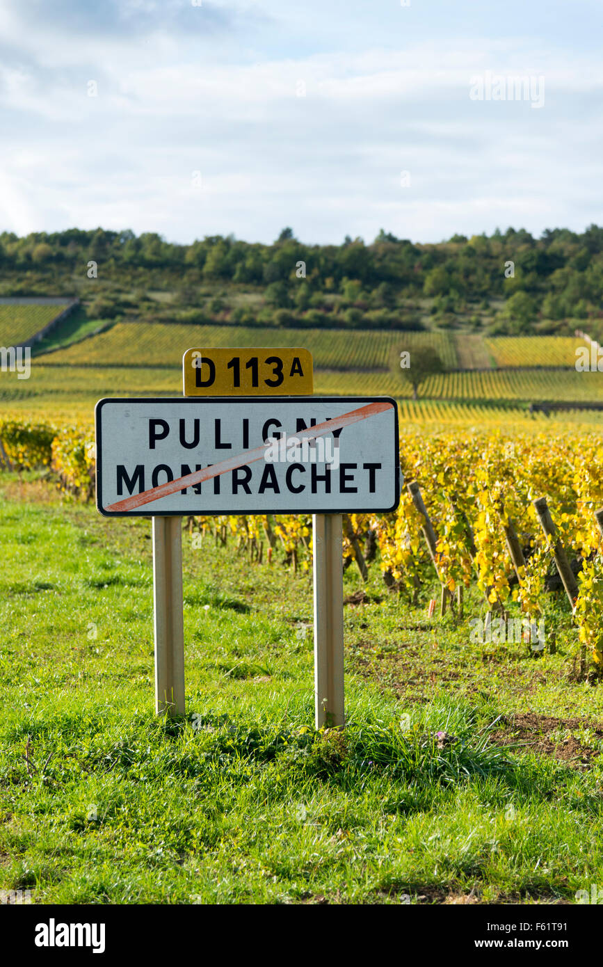 Burgundy wine hi-res stock photography and images - Alamy