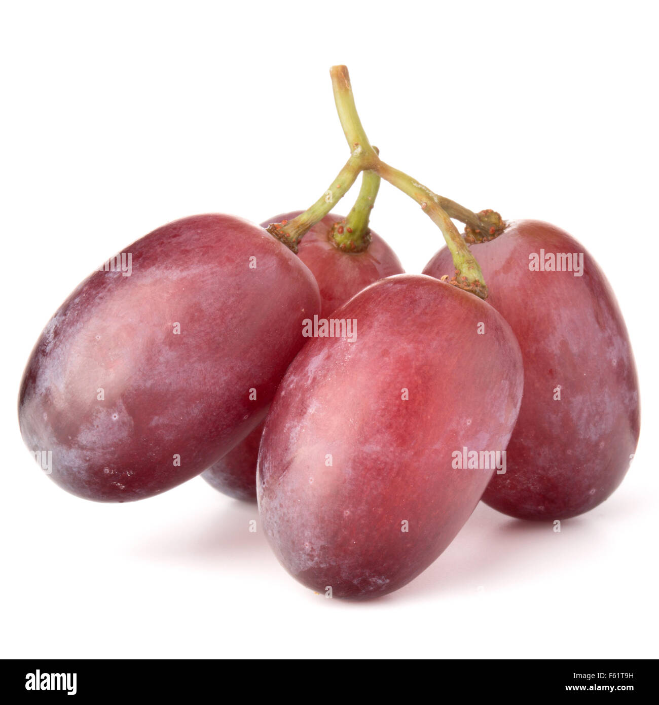 red grape bunch isolated on white background cutout Stock Photo - Alamy