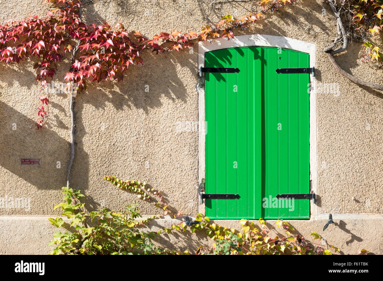A shuttered french window with climbing plants in the Burgundy area of ...