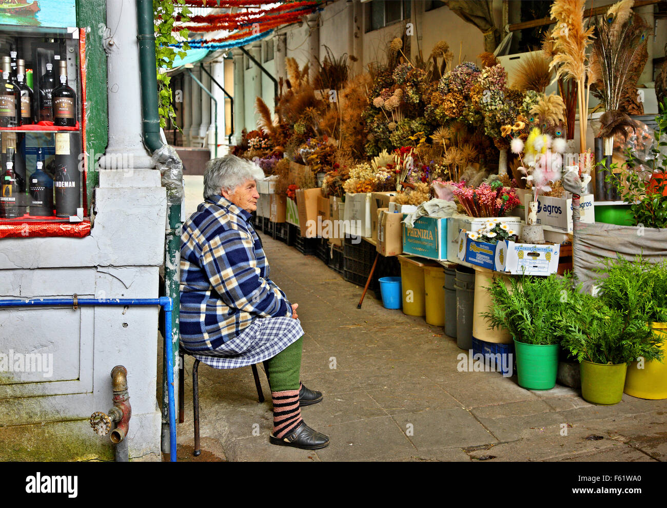 Mercado do Bolhao, traditional market in Porto, Porte e Norte, Portugal ...
