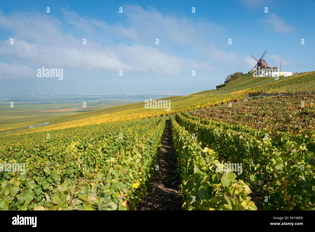 The Moulin de Verzenay, or Windmill of Verzenay, in the champagne ...