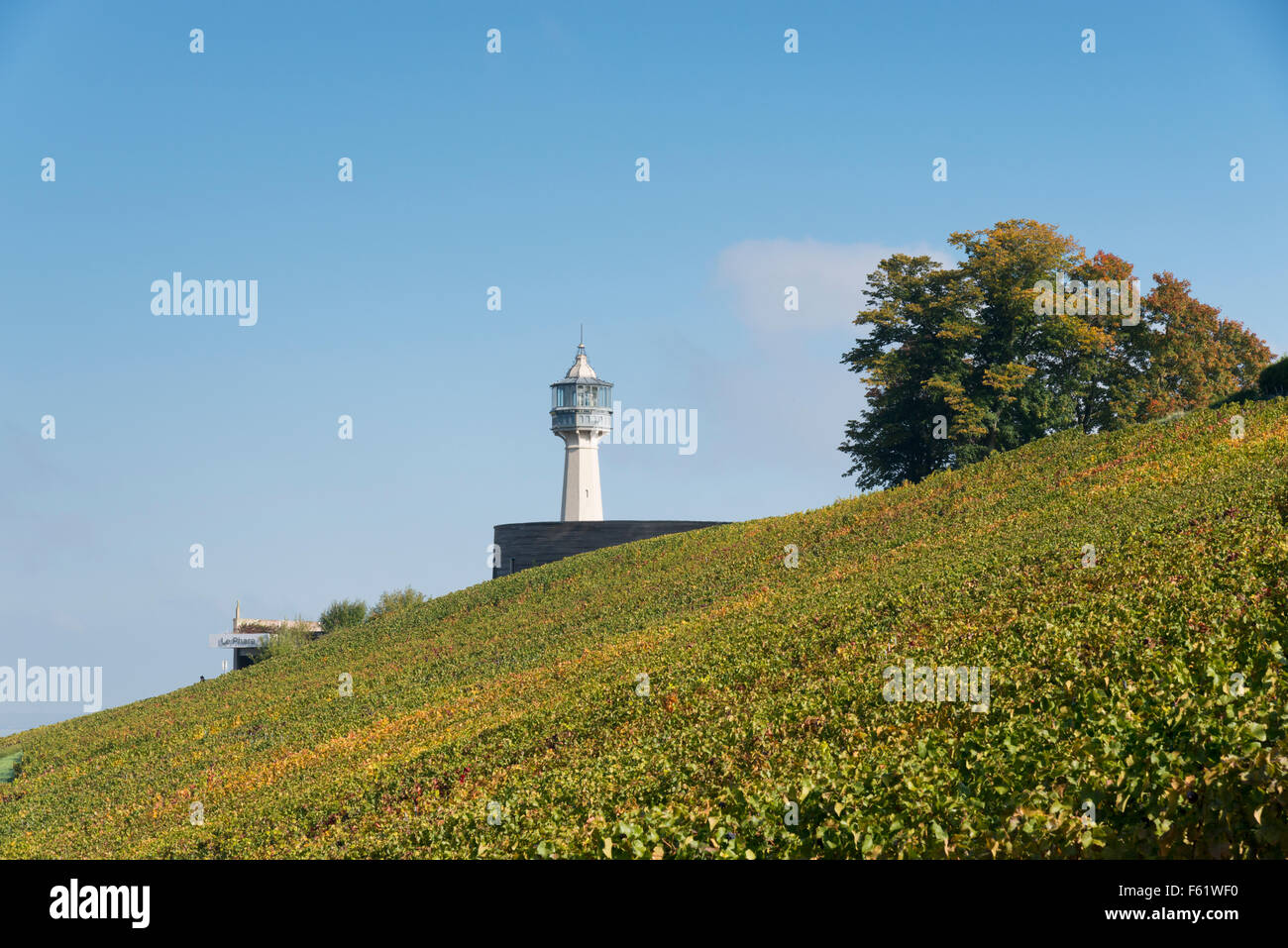 The Lighthouse of Verzenay in Champagne Stock Photo - Alamy
